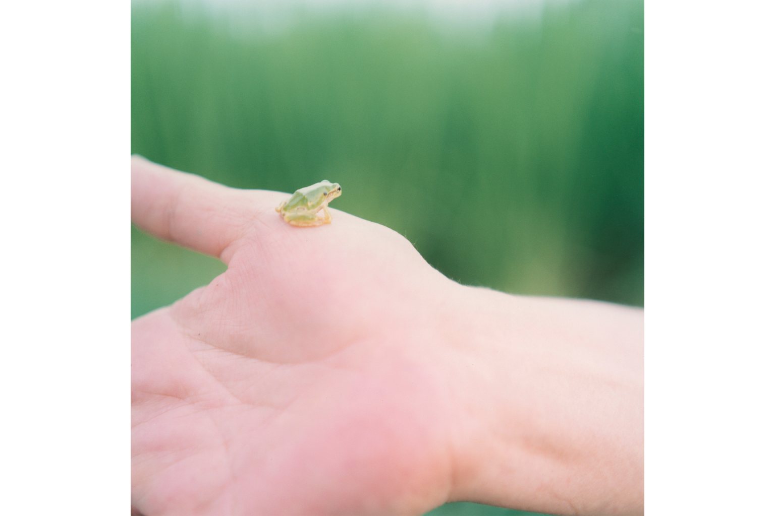 At the edge of the everyday world by Rinko Kawauchi – Bristol Photo ...